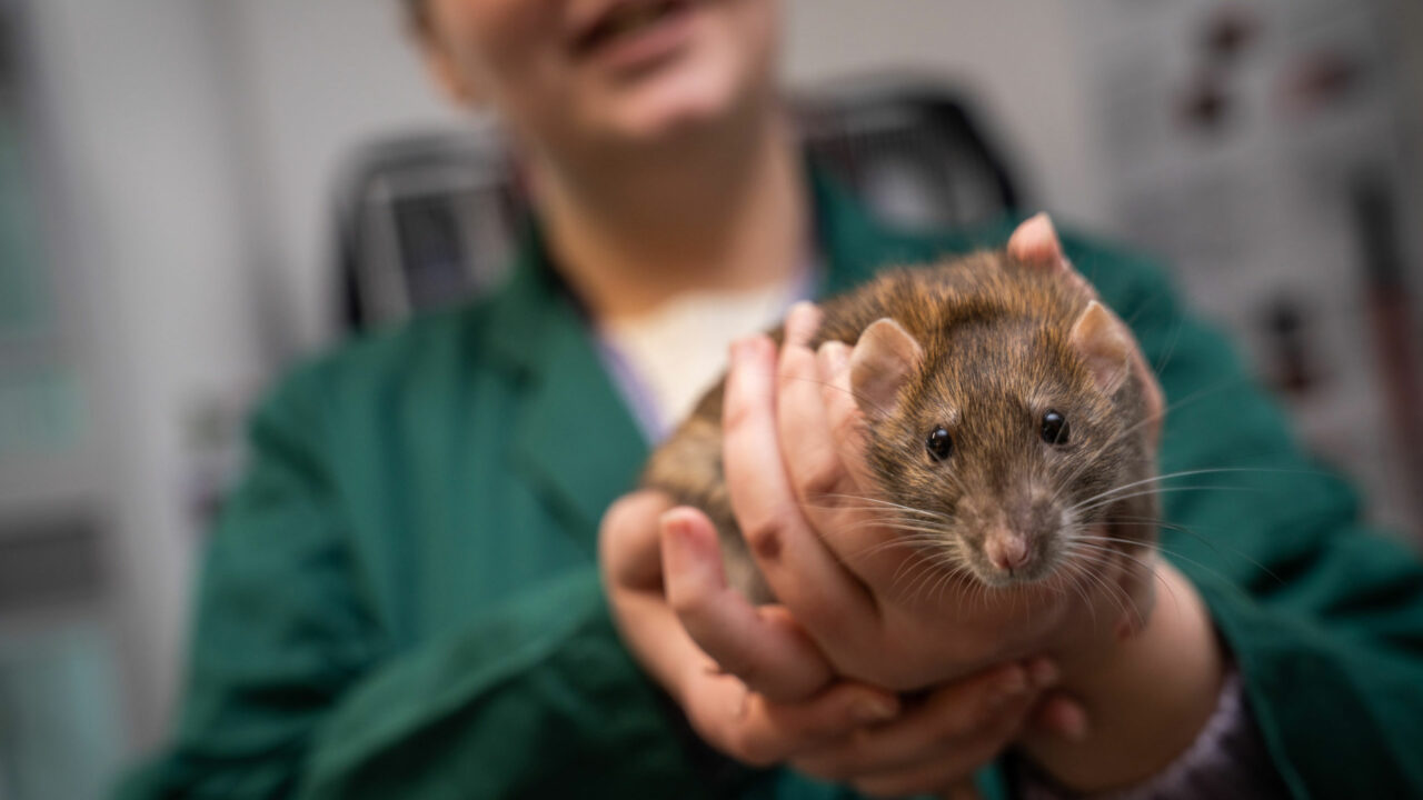 Animal Management and Land-based Industries - University Centre Rotherham