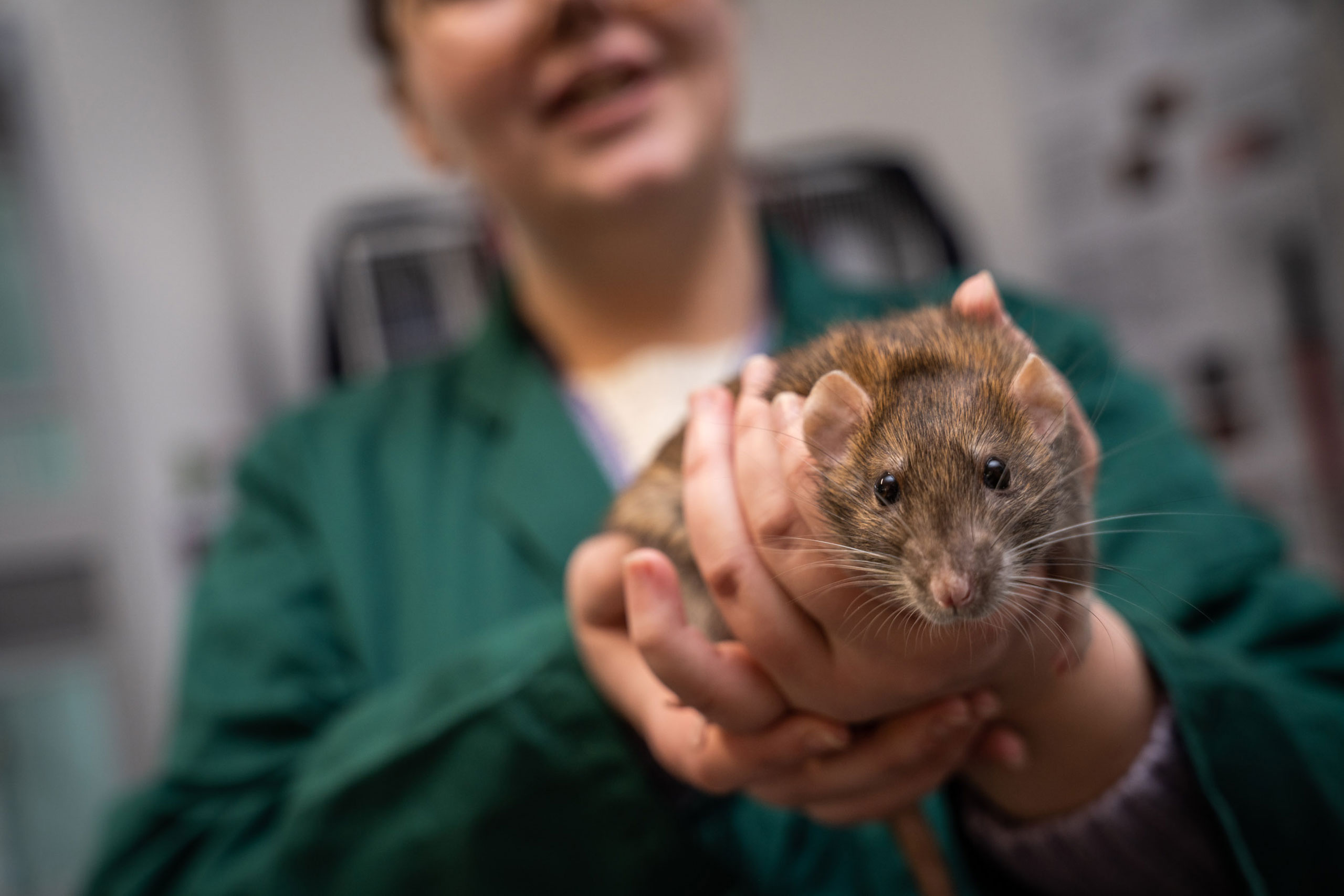 Animal Management and Land-based Industries - University Centre Rotherham